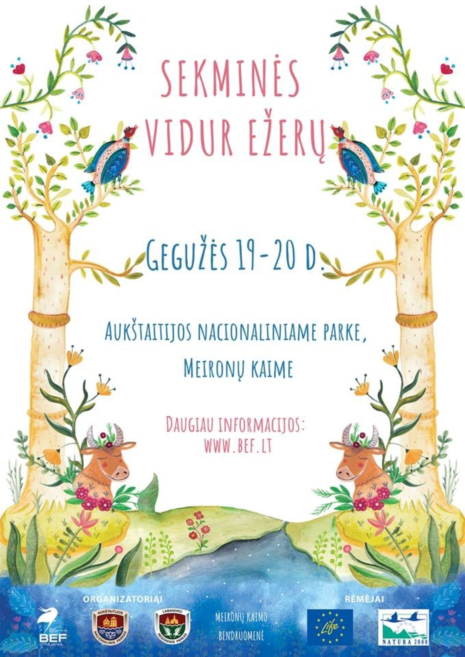 Sekminės vidur ežerų | aparkai.lt